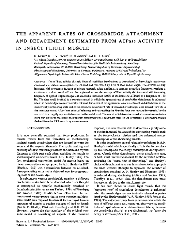 (PDF) The Apparent Rates of Crossbridge Attachment and Detachment ...