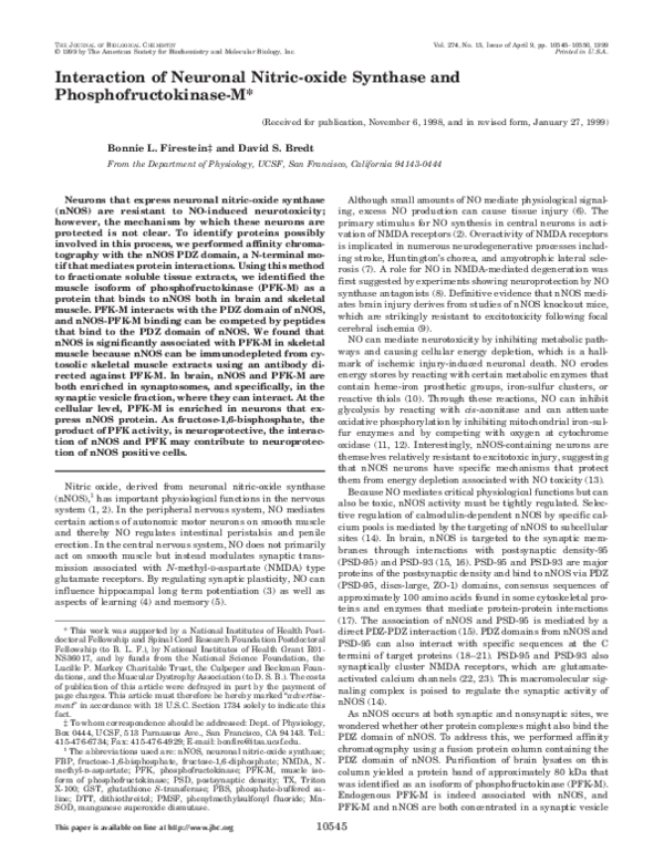 (PDF) Interaction of neuronal nitric-oxide synthase with caveolin-3 in ...