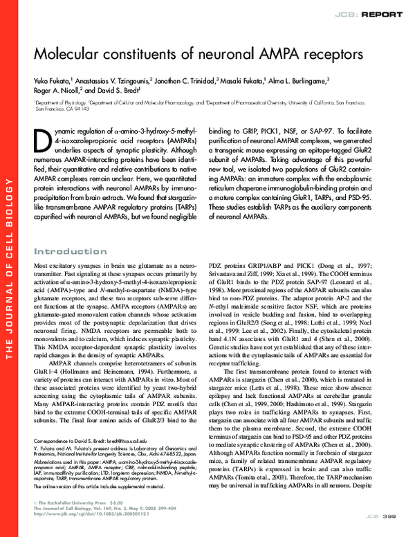(PDF) Molecular constituents of neuronal AMPA receptors | David Bredt ...