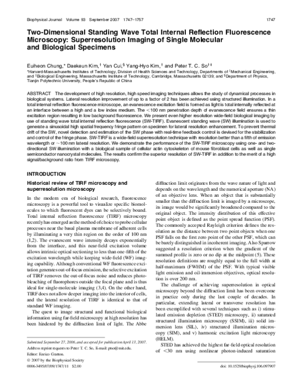 (PDF) Two-Dimensional Standing Wave Total Internal Reflection ...