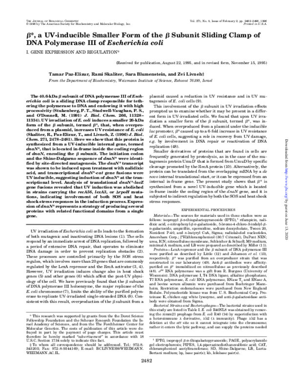 (PDF) beta*, a UV-inducible Smaller Form of the beta Subunit Sliding ...