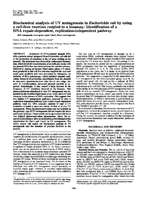 (PDF) Biochemical analysis of UV mutagenesis in Escherichia coli by ...