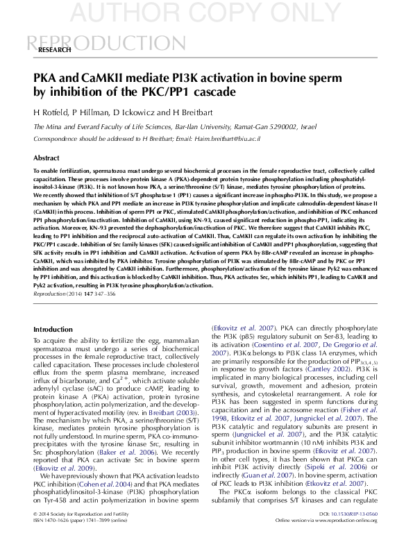 (PDF) PKA and CaMKII mediate PI3K activation in bovine sperm by ...