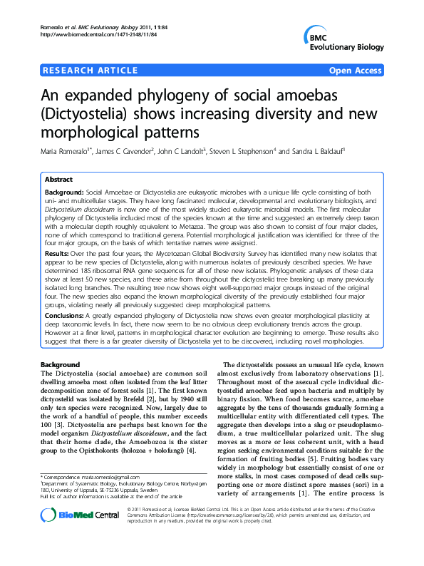 (PDF) An expanded phylogeny of social amoebas (Dictyostelia) shows ...