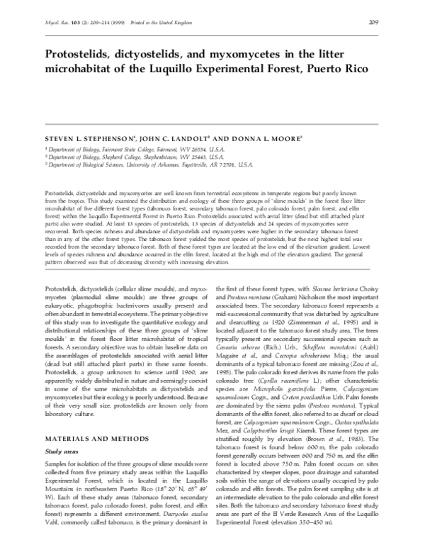 (PDF) Protostelids, dictyostelids, and myxomycetes in the litter ...