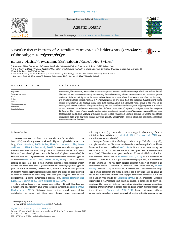 (PDF) Vascular tissue in traps of Australian carnivorous bladderworts ...