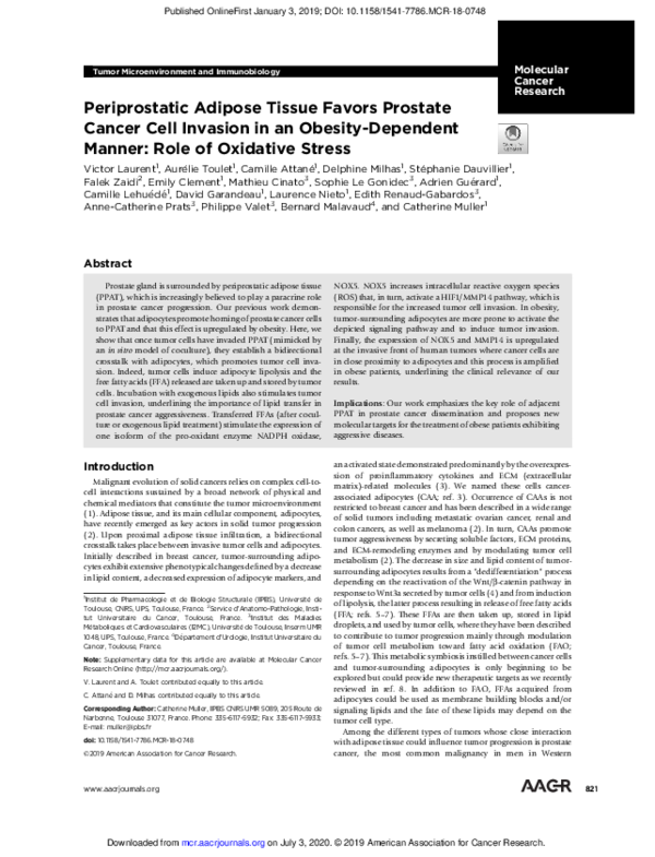 (PDF) Periprostatic adipose tissue favors prostate cancer cell invasion ...