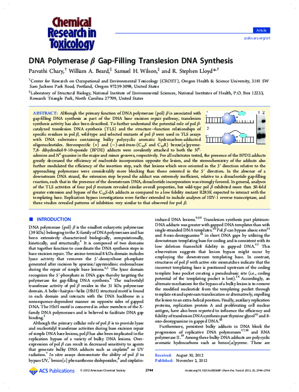 (PDF) DNA Polymerase β Gap-Filling Translesion DNA Synthesis | Parvathi ...