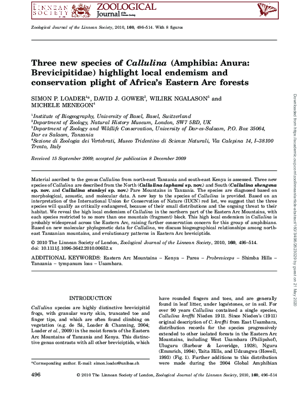 (PDF) Three new species of Callulina (Amphibia: Anura: Brevicipitidae ...