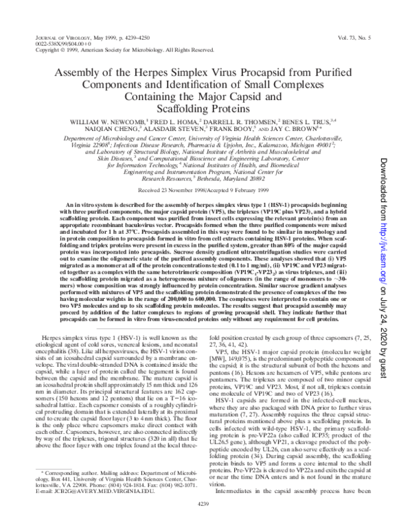 (PDF) Assembly of the Herpes Simplex Virus Procapsid From Purified ...