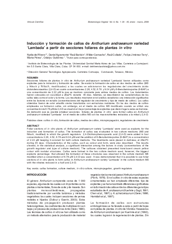 (PDF) Inducción y formación de callos de Anthurium andraeanum variedad ...
