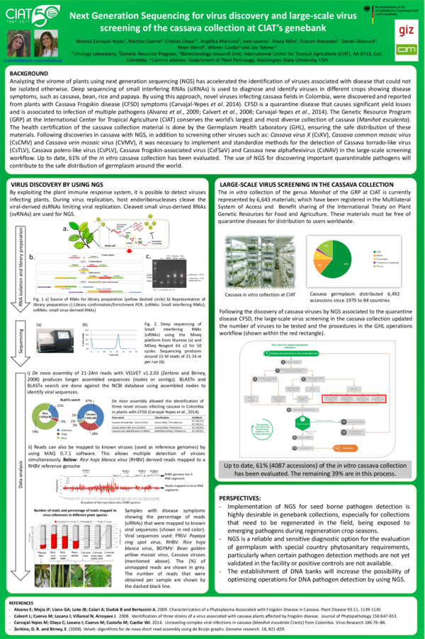 (PDF) Next Generation Sequencing for virus discovery and large-scale ...