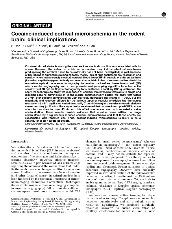 (PDF) Cocaine-induced cortical microischemia in the rodent brain ...