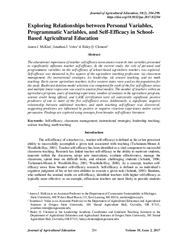 (PDF) Exploring Relationships between Personal Variables, Programmatic ...