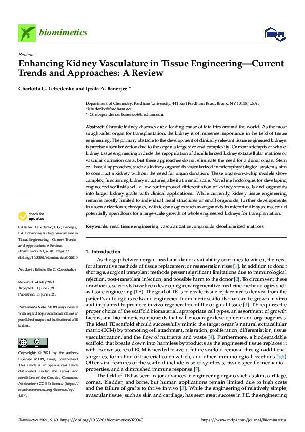 (PDF) Enhancing Kidney Vasculature in Tissue Engineering—Current Trends ...