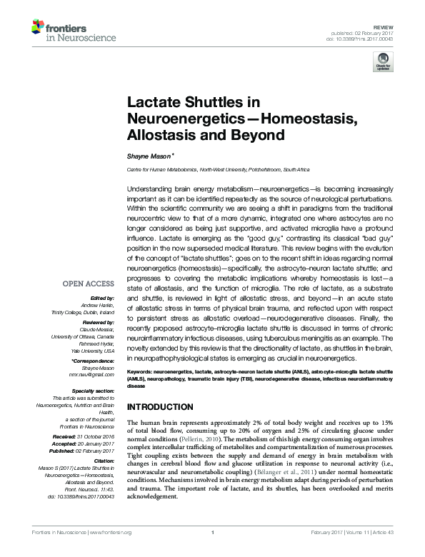 (PDF) Lactate Shuttles in Neuroenergetics—Homeostasis, Allostasis and ...