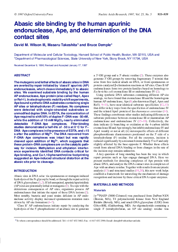 (PDF) Abasic Site Binding by the Human Apurinic Endonuclease, Ape, and Determination of the DNA ...