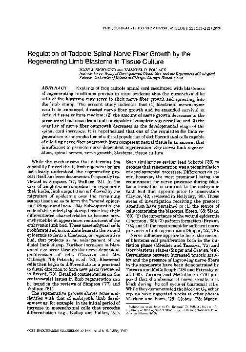 (PDF) Regulation of tadpole spinal nerve fiber growth by the ...