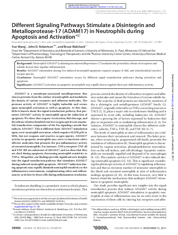 (PDF) Different Signaling Pathways Stimulate a Disintegrin and ...