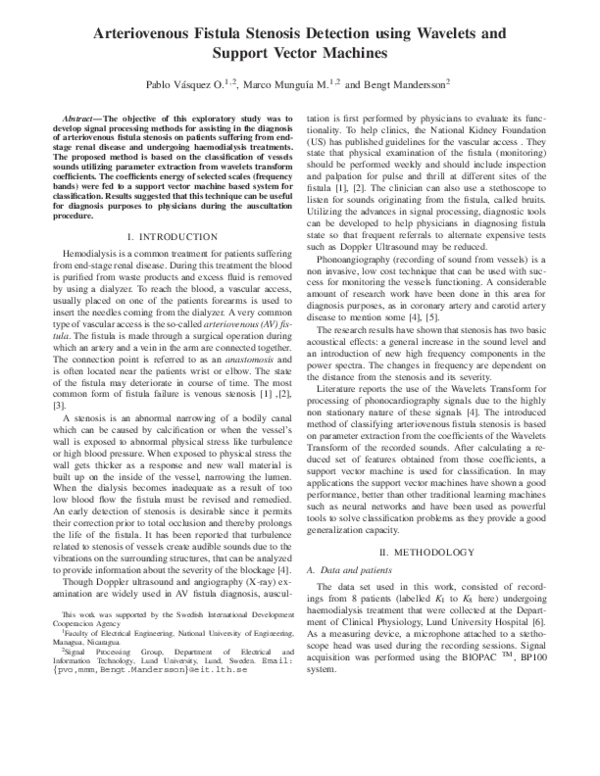 (PDF) Arteriovenous Fistula Stenosis Detection using Wavelets and Support Vector Machines