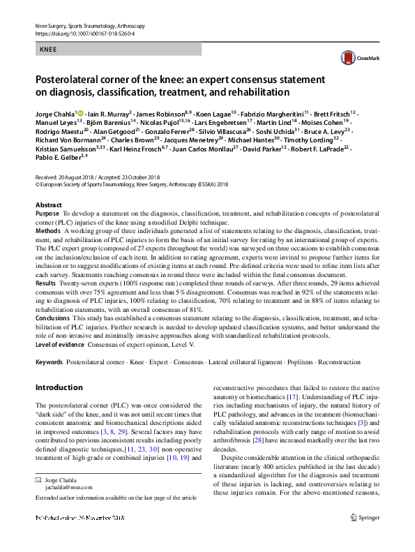 (PDF) Posterolateral corner of the knee: an expert consensus statement ...