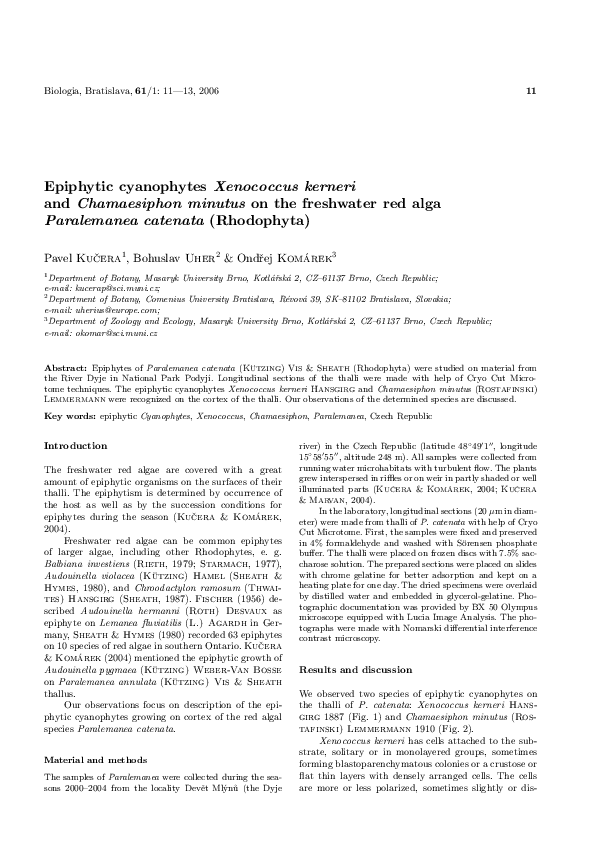 (PDF) Epiphytic cyanophytes Xenococcus kerneri and Chamaesiphon minutus ...