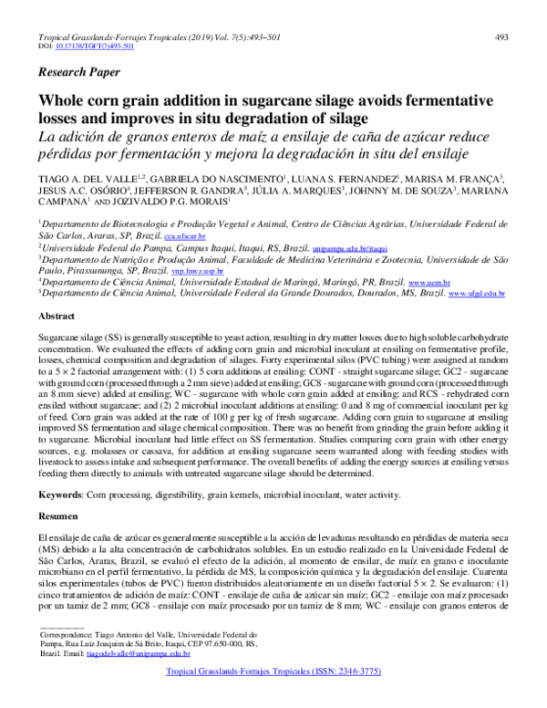(PDF) Whole corn grain addition in sugarcane silage avoids fermentative ...