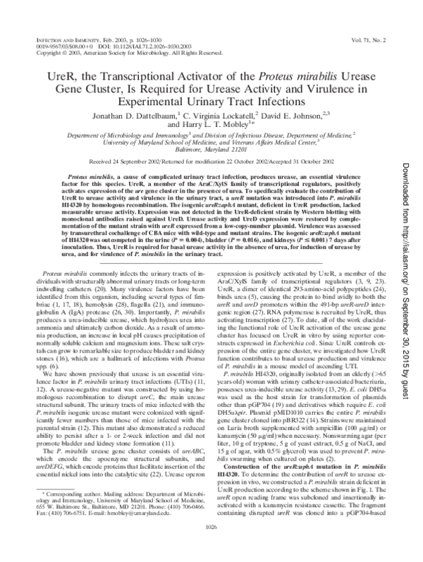 (PDF) UreR, the Transcriptional Activator of the Proteus mirabilis ...