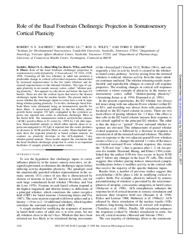 (PDF) Role of the basal forebrain cholinergic projection in ...