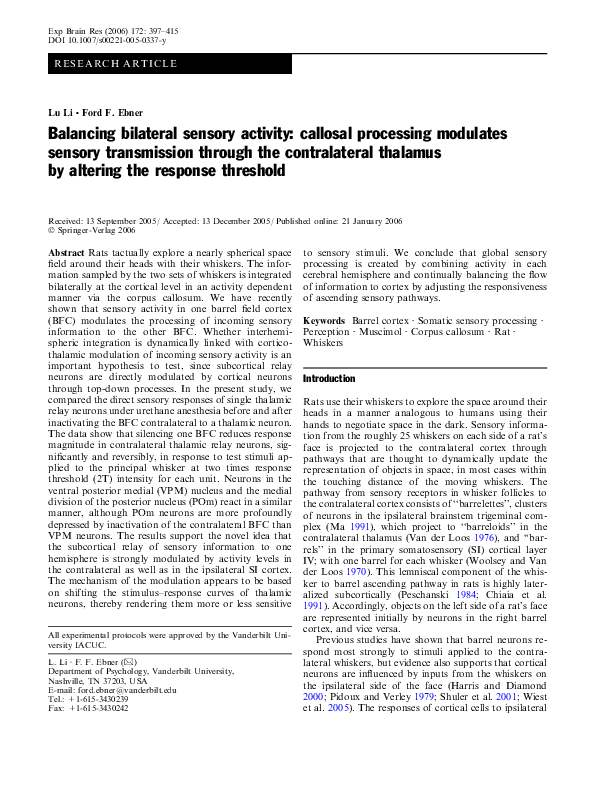 (PDF) Balancing bilateral sensory activity: callosal processing ...