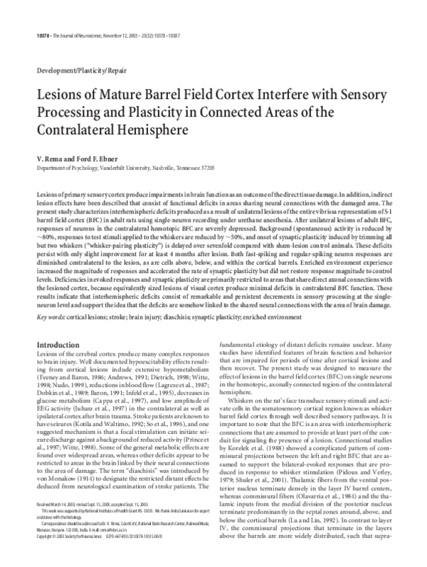 (PDF) Lesions of mature barrel field cortex interfere with sensory ...