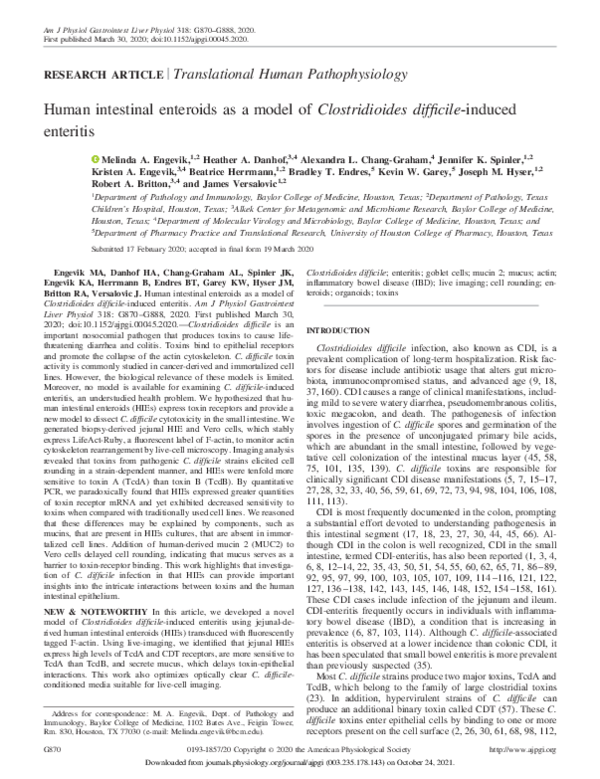 (PDF) Human intestinal enteroids as a model of Clostridioides difficile ...