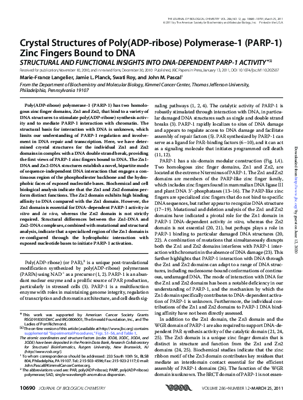 (PDF) Crystal Structures of Poly(ADP-ribose) Polymerase-1 (PARP-1) Zinc ...