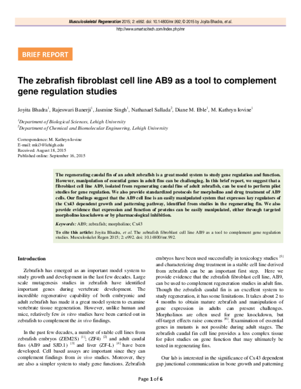 (PDF) The Zebrafish fibroblast cell line AB9 as a tool to complement ...
