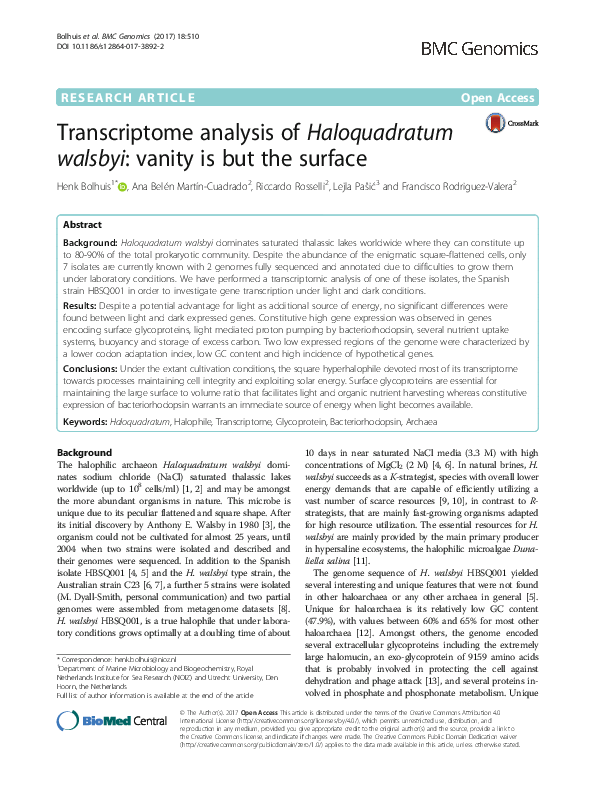 (PDF) Transcriptome analysis of Haloquadratum walsbyi: vanity is but ...