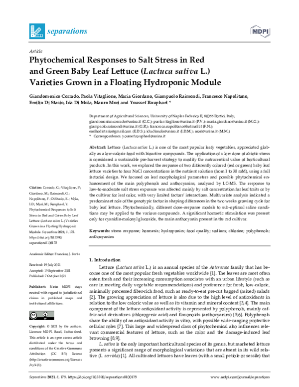 (PDF) Phytochemical Responses to Salt Stress in Red and Green Baby Leaf ...