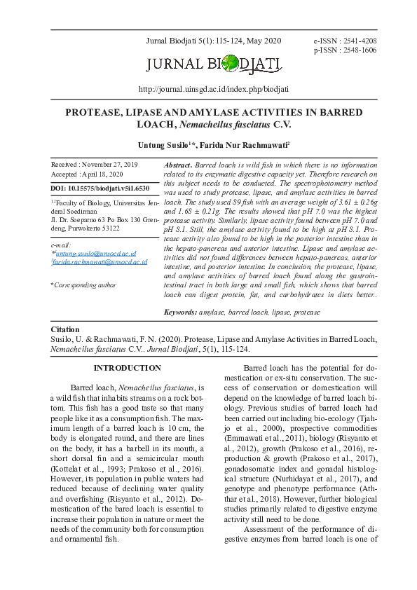 (PDF) Protease, Lipase and Amylase Activities in Barred Loach ...