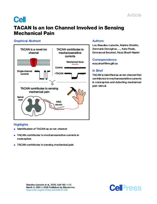 (PDF) TACAN Is an Ion Channel Involved in Sensing Mechanical Pain