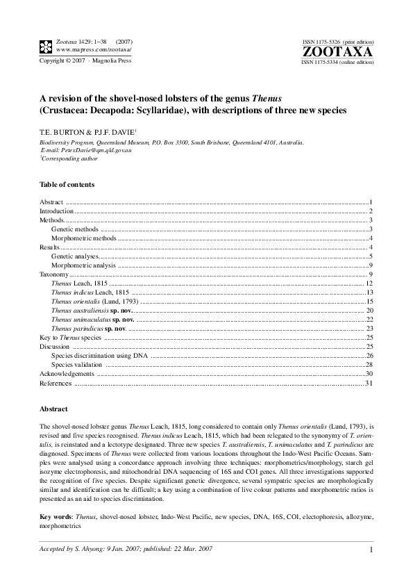 (PDF) A revision of the shovel-nosed lobsters of the genus Thenus ...