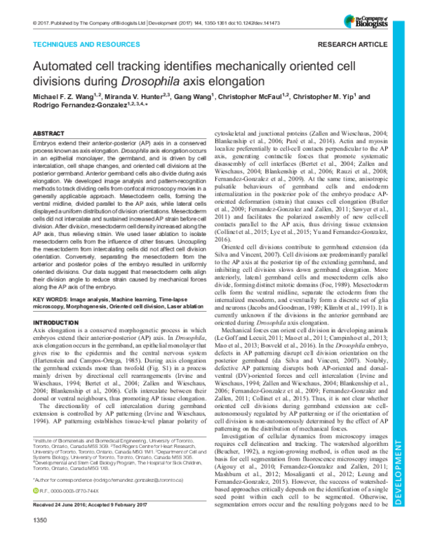 (PDF) Automated cell tracking identifies mechanically-oriented cell ...