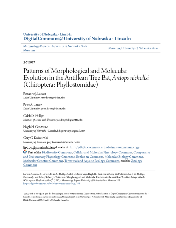 (PDF) Patterns of Morphological and Molecular Evolution in the ...