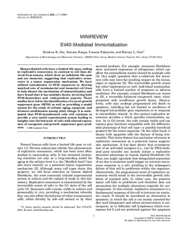 (PDF) SV40-mediated immortalization