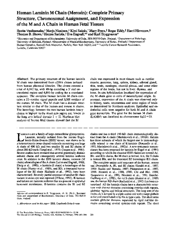 (PDF) Human laminin M chain (merosin): complete primary structure ...