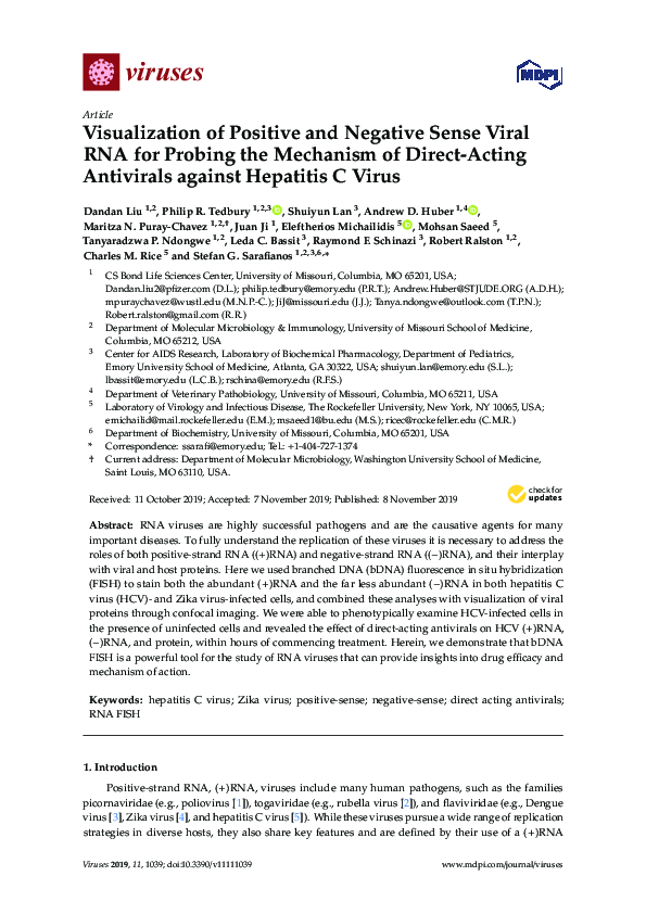 (PDF) Visualization of Positive and Negative Sense Viral RNA for ...