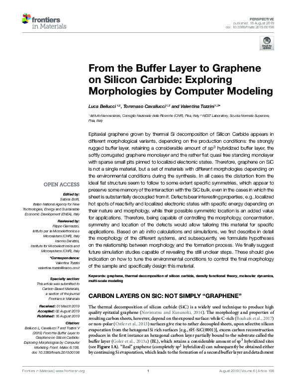 (PDF) From the Buffer Layer to Graphene on Silicon Carbide: Exploring Morphologies by Computer ...