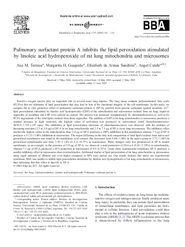 (PDF) Pulmonary surfactant protein A inhibits the lipid peroxidation ...