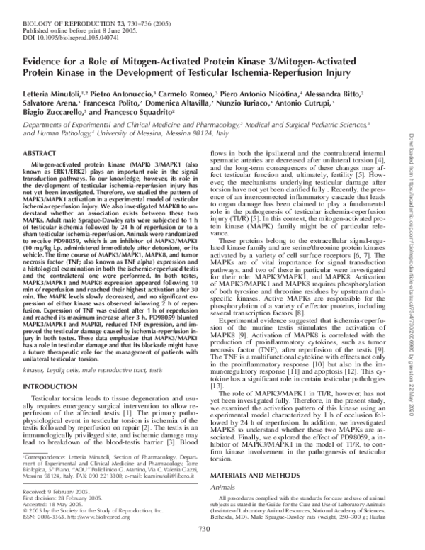 (PDF) Evidence for a role of mitogen-activated protein kinase 3/mitogen ...