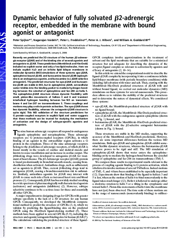 (PDF) Dynamic behavior of fully solvated β2-adrenergic receptor ...
