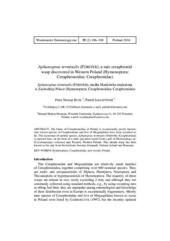 (PDF) Aphanogmus terminalis (Forster), a rare ceraphronid wasp ...