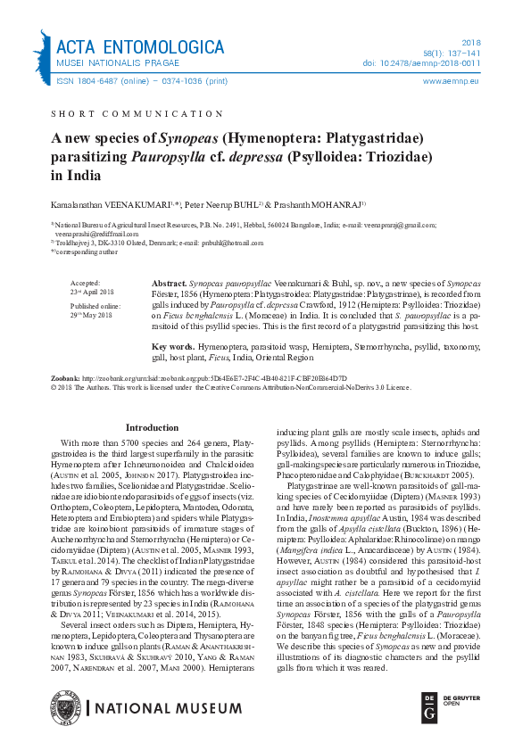 (PDF) A new species of Synopeas (Hymenoptera: Platygastridae ...